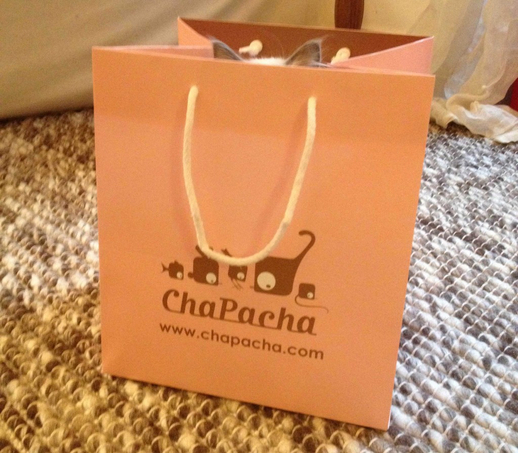 Mauricette a testé le service de catsitting ChaPacha - Jamais sans Maurice